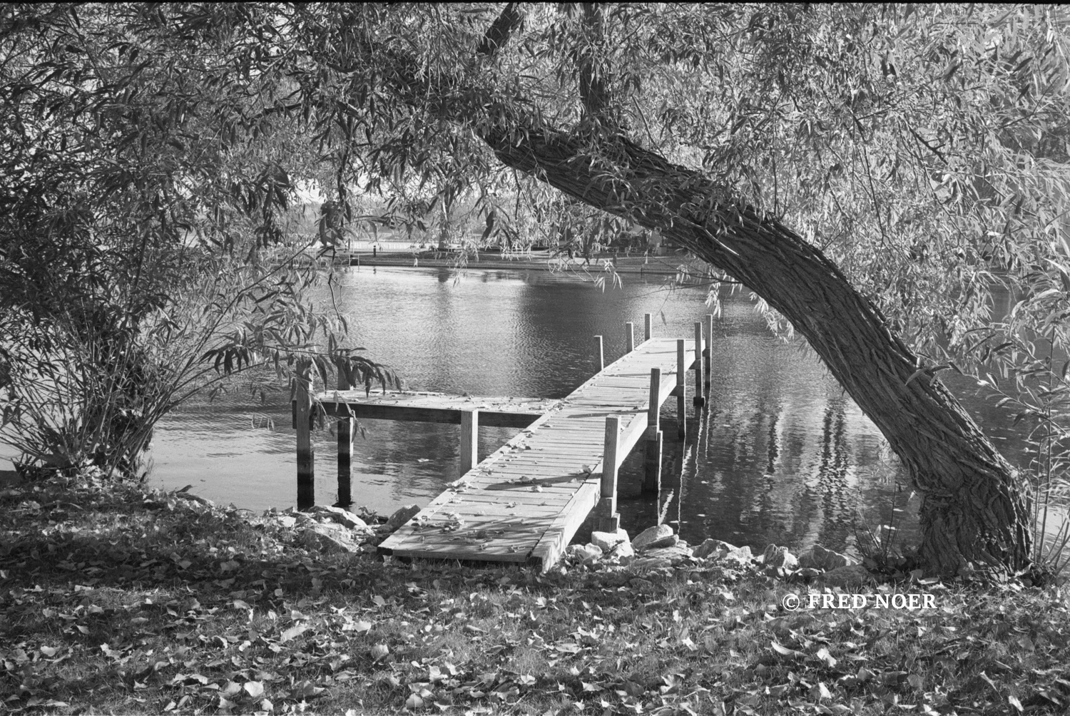 Delavan Lake Portfolio — Fred Noer Photography