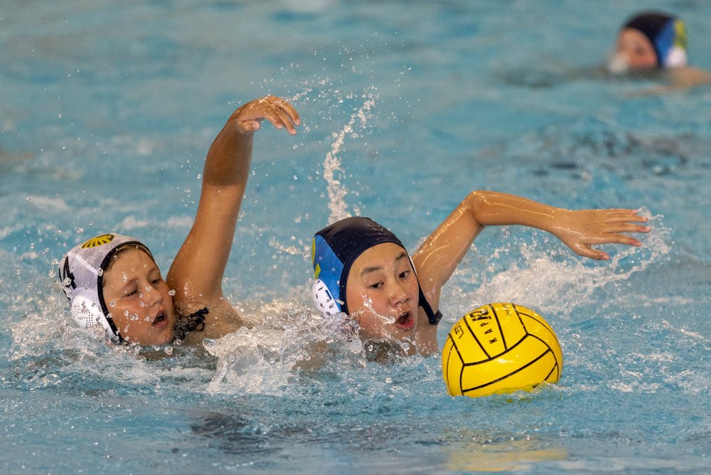 Tournaments — Canberra Water Polo Academy