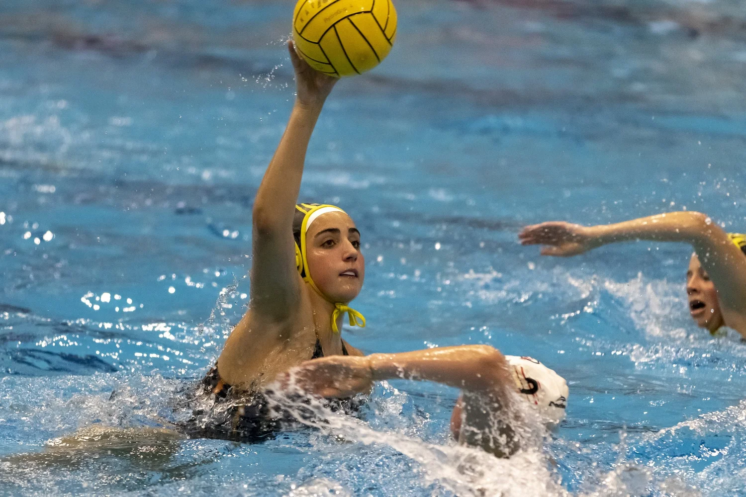 Tournaments — Canberra Water Polo Academy