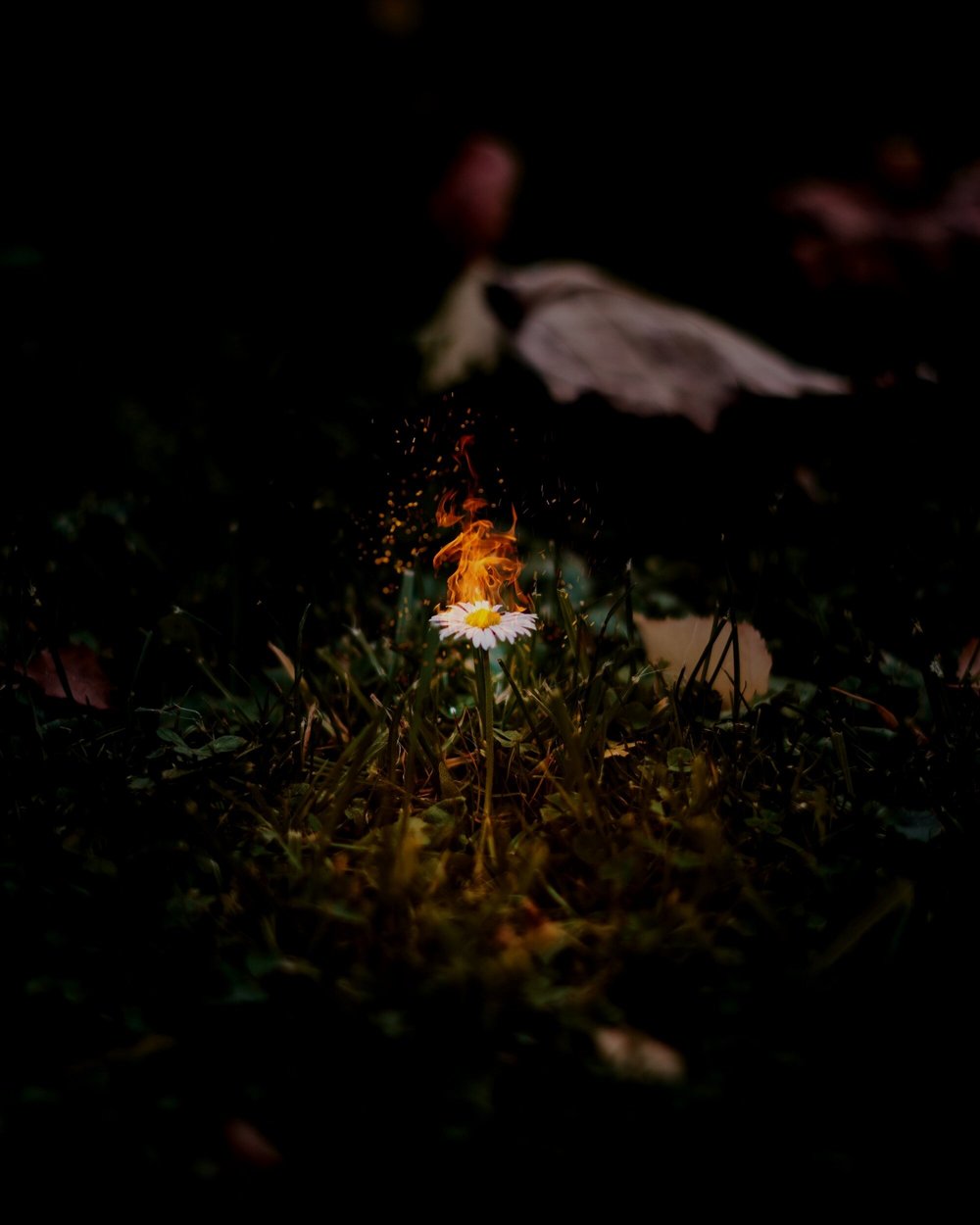 Events — LoreMakers Fantasy Events