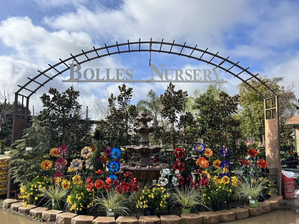 About 1 — Bolle's Nursery