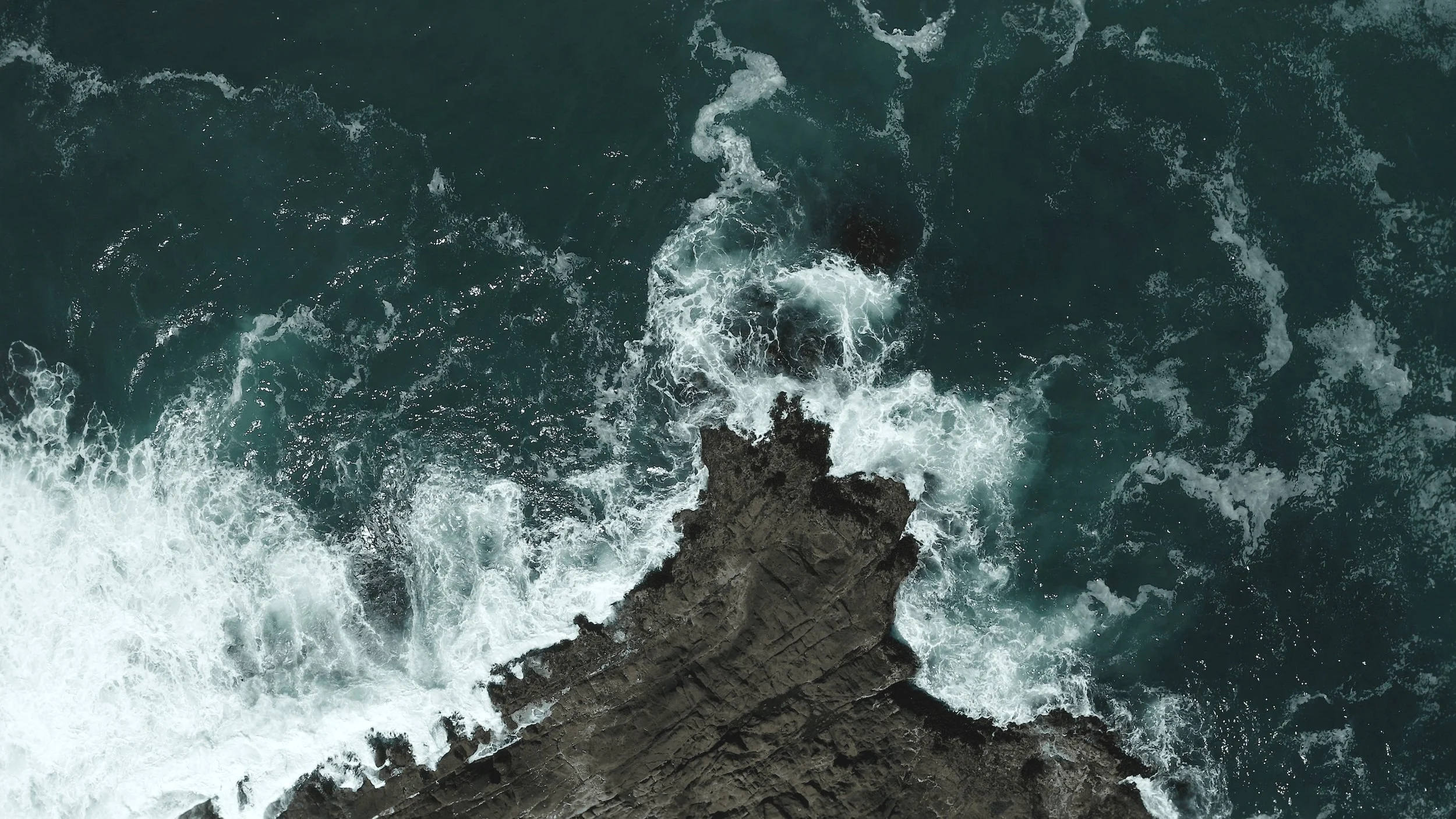 Regenerative Aquaculture — Winter Waters