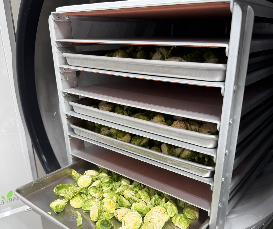 When Disasters Strike, What Will We Eat? Rogue Food Unites Has a Plan ...