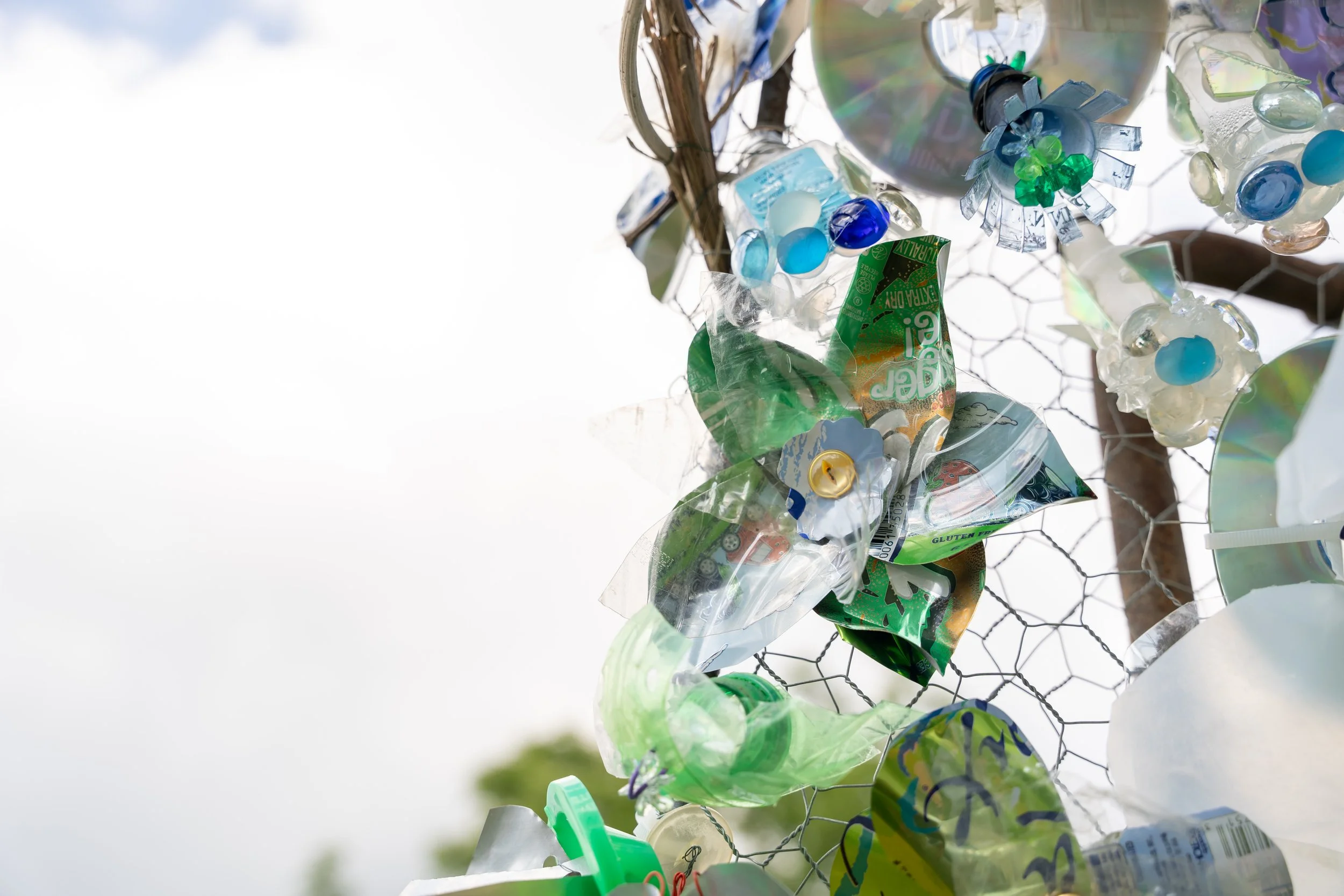 Eco Artist Residency — Eliza Howell Park