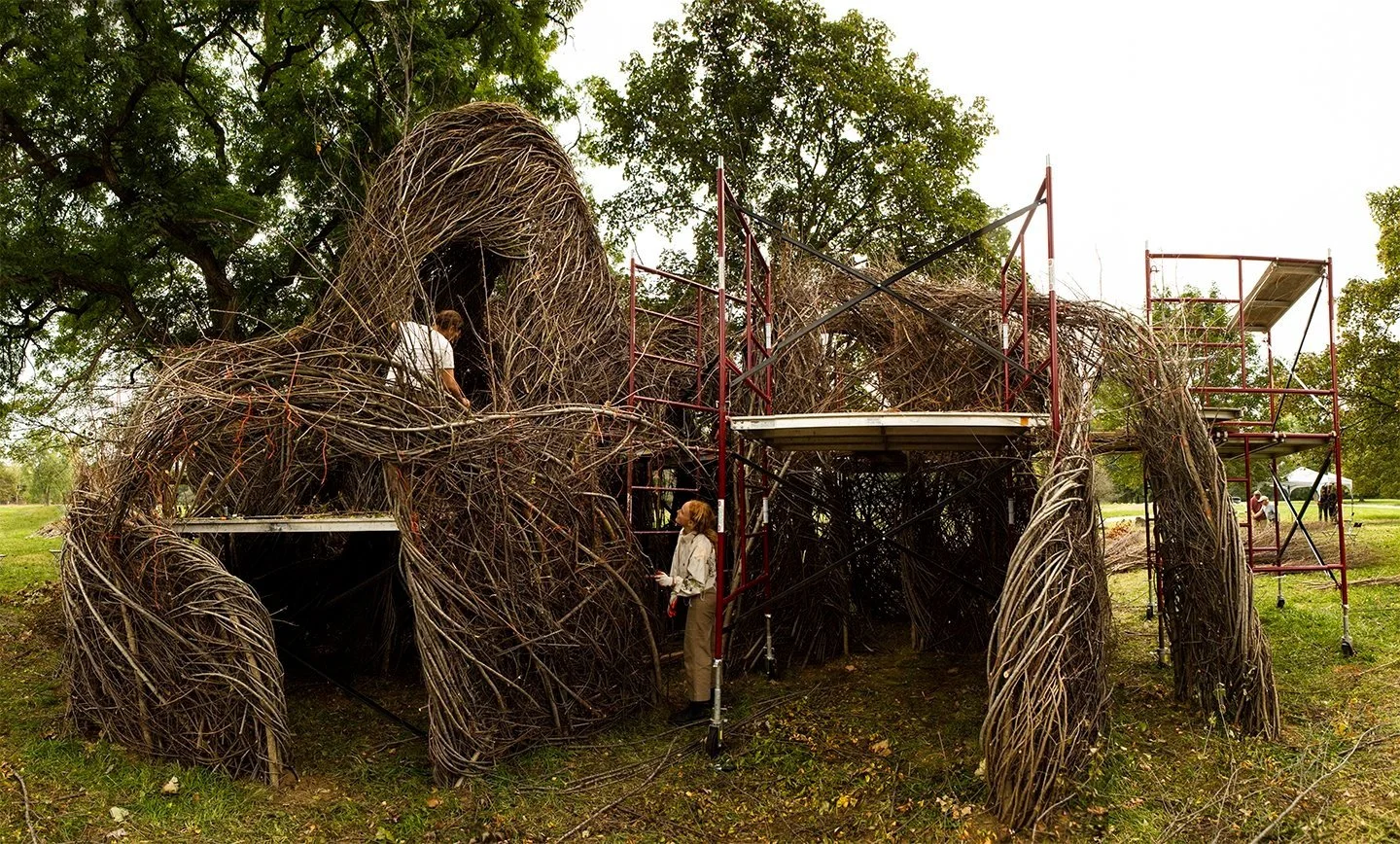 Eco Artist Residency — Eliza Howell Park