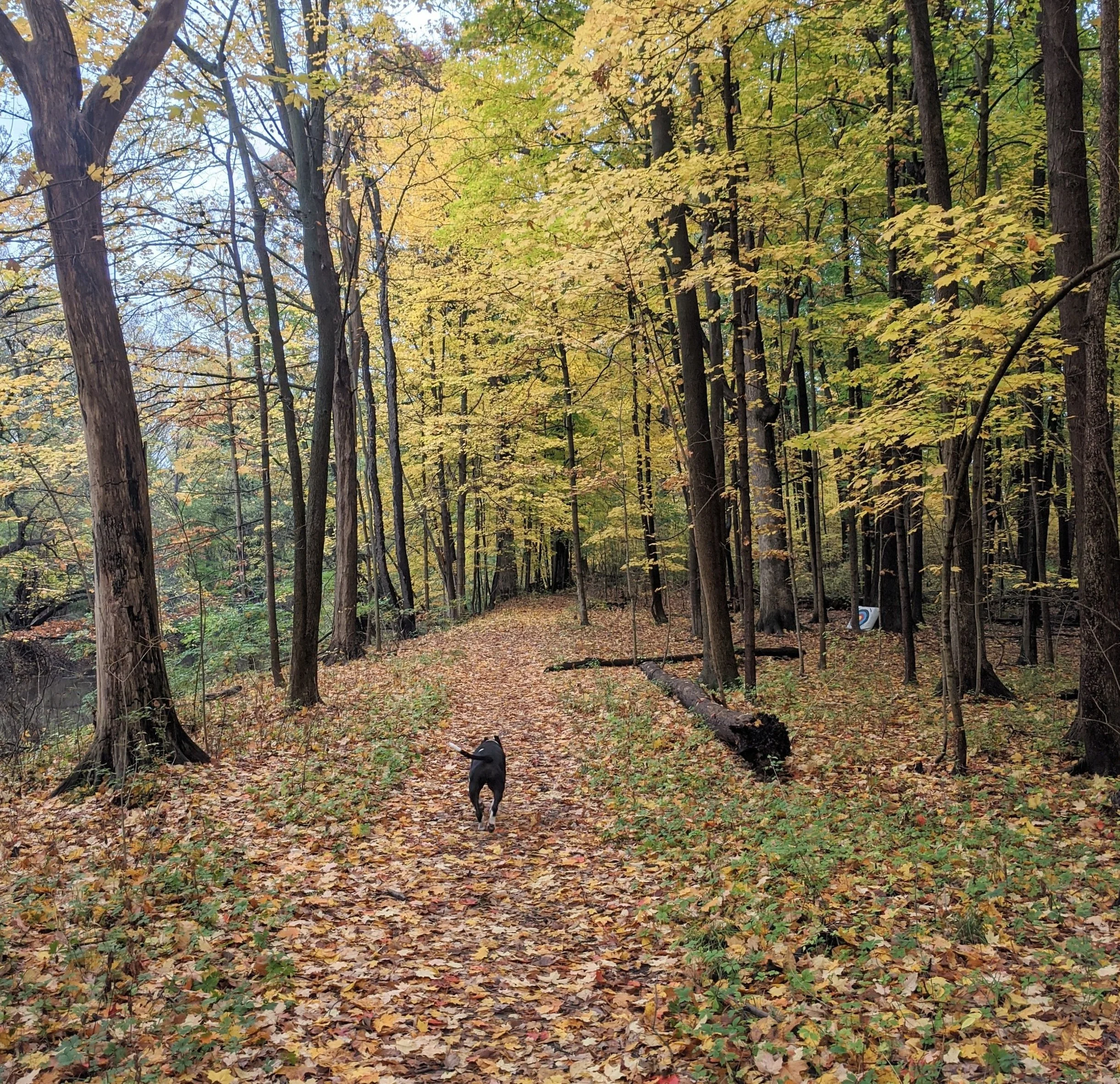 About — Eliza Howell Park