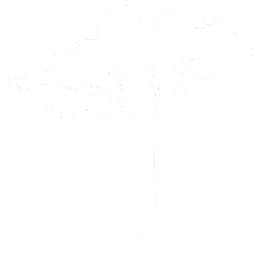 The Hook Outlet Dispensary Santa Cruz's Affordable Cannabis