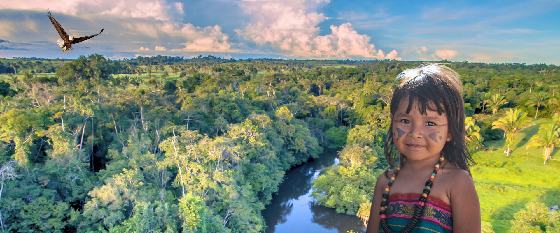 Climate Partner | Join the Impact Movement — Planet-A-mor