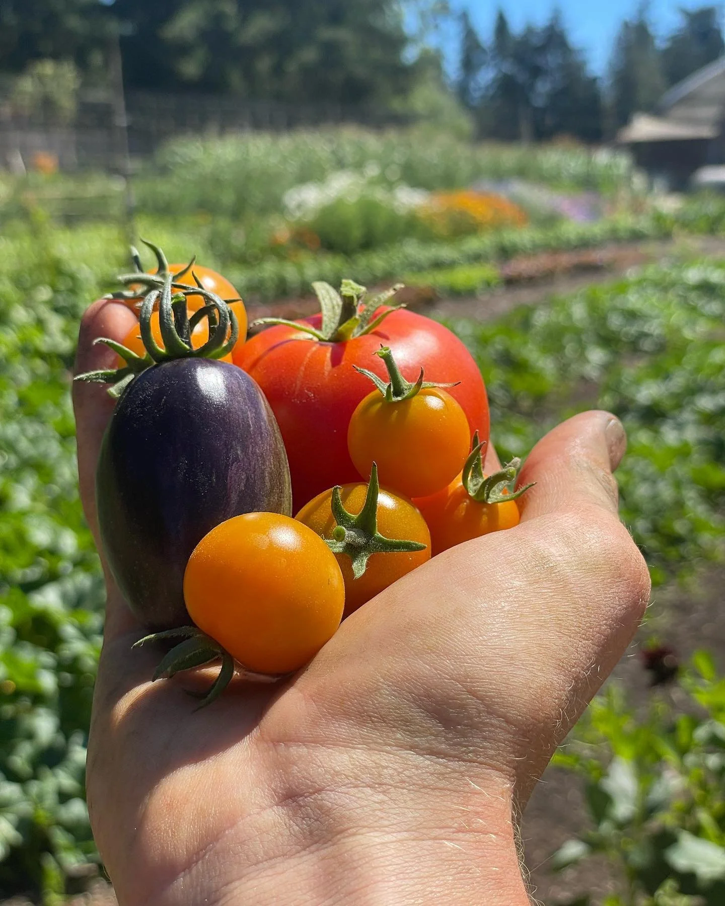 Our Community — Farm Kitchen