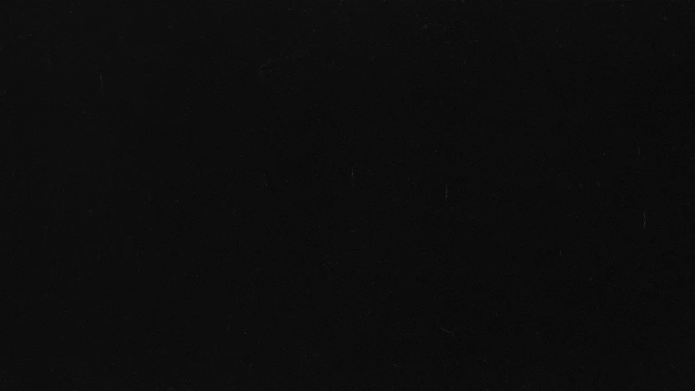 BARGAIN BIN — Mindhaus