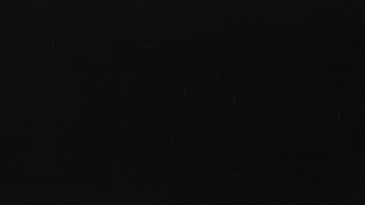 BARGAIN BIN — Mindhaus