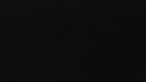 BARGAIN BIN — Mindhaus