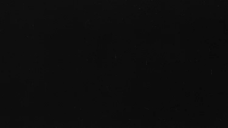 BARGAIN BIN — Mindhaus