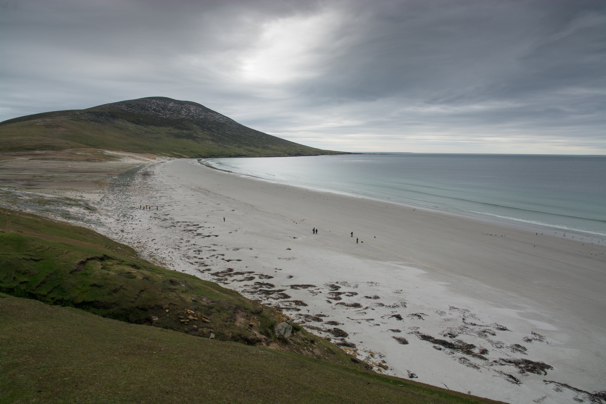 South Georgia & Falkland Islands Cruise Expeditions & Tour — African ...