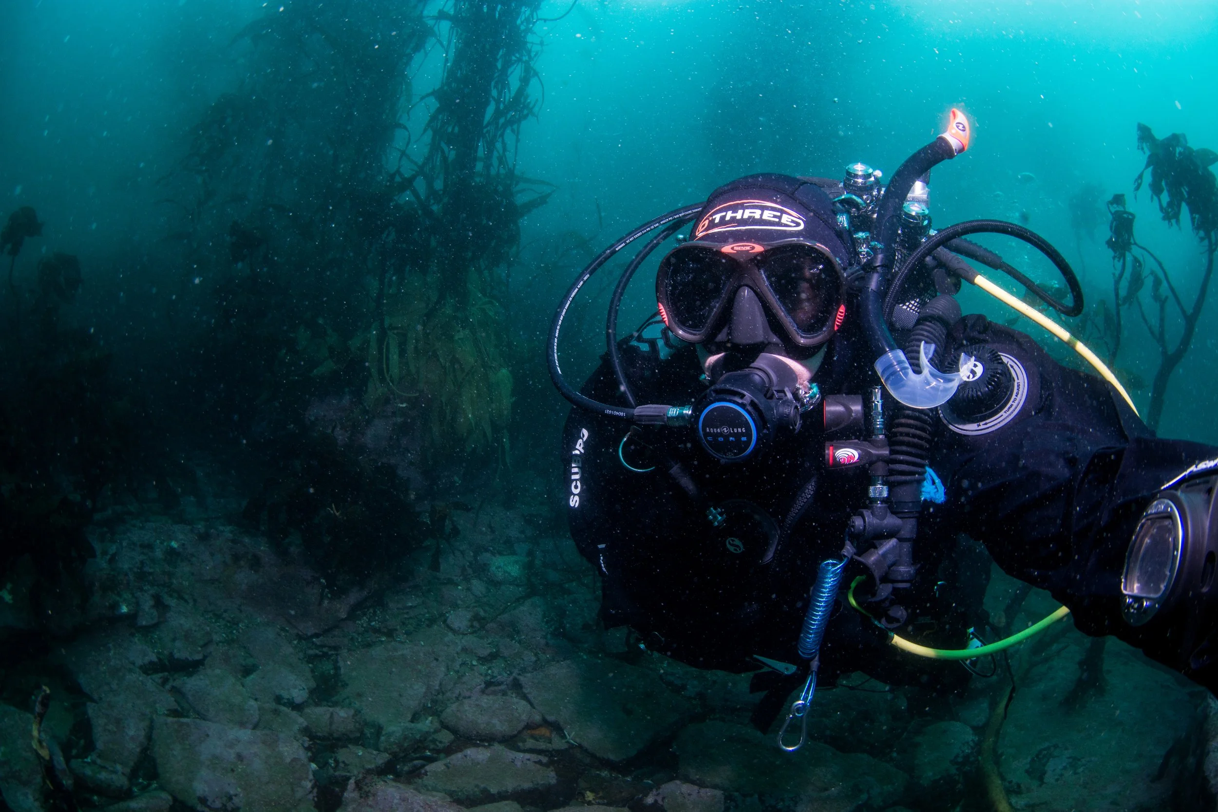 South Georgia & Falkland Islands Cruise Expeditions & Tour — African ...