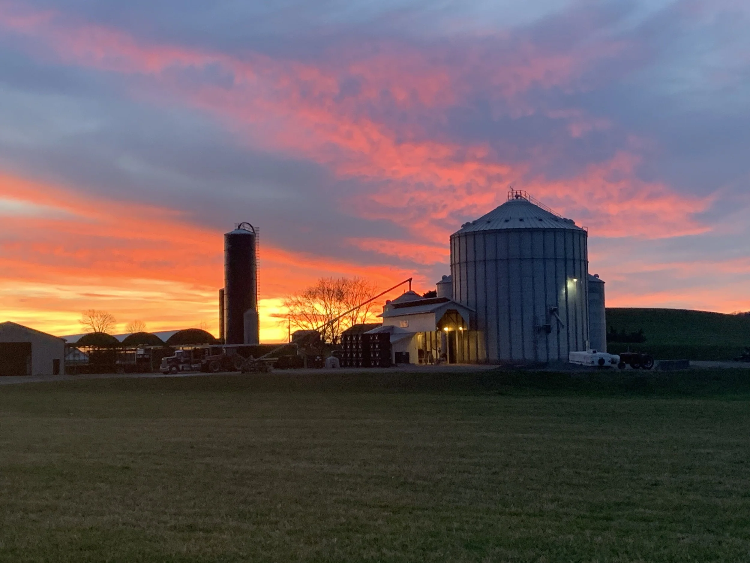 Hunsberger Farms | Local Black Angus Beef | Davidsville, PA