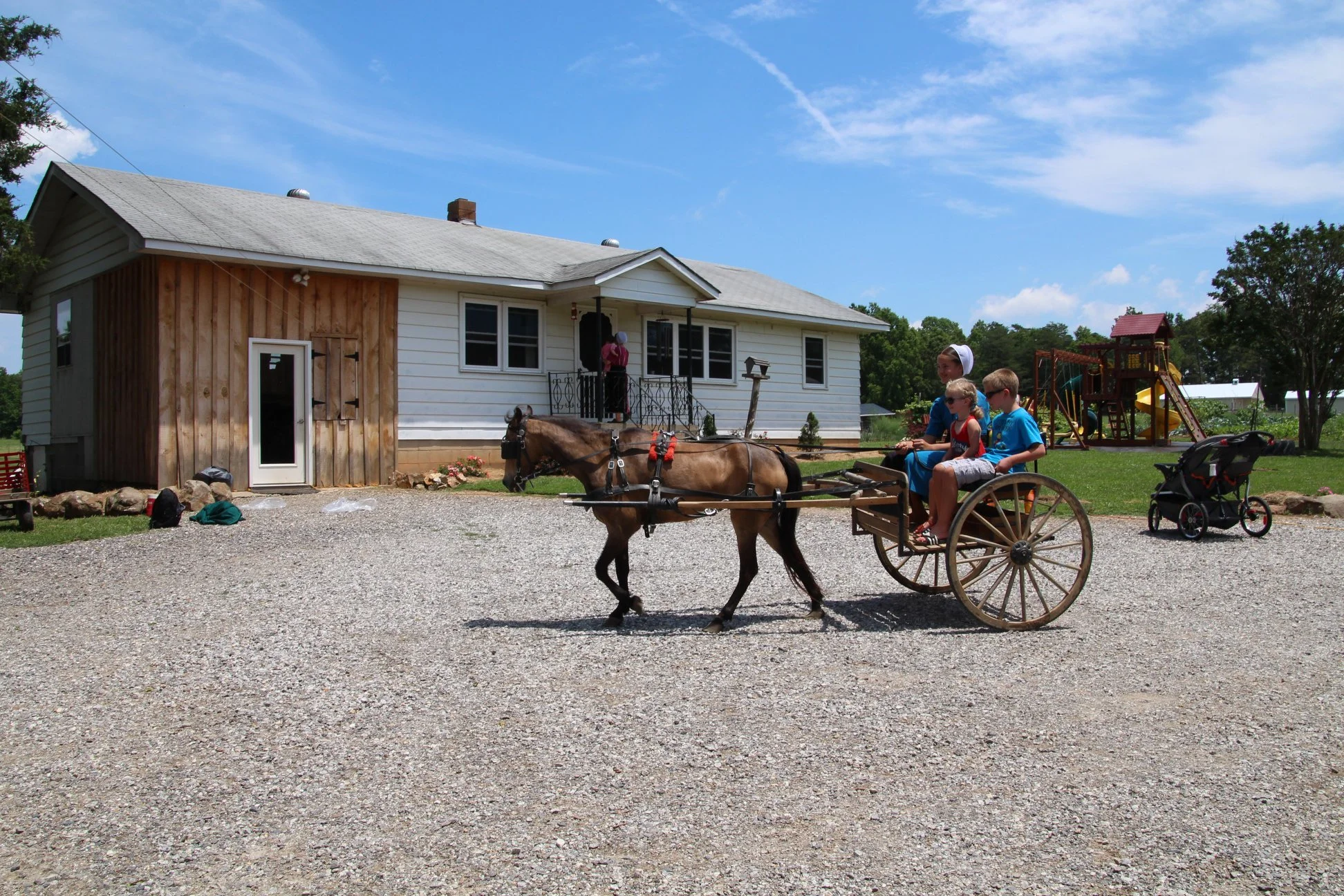 About | Farmville, Virginia | Established 2019 — Golden Valley Farms
