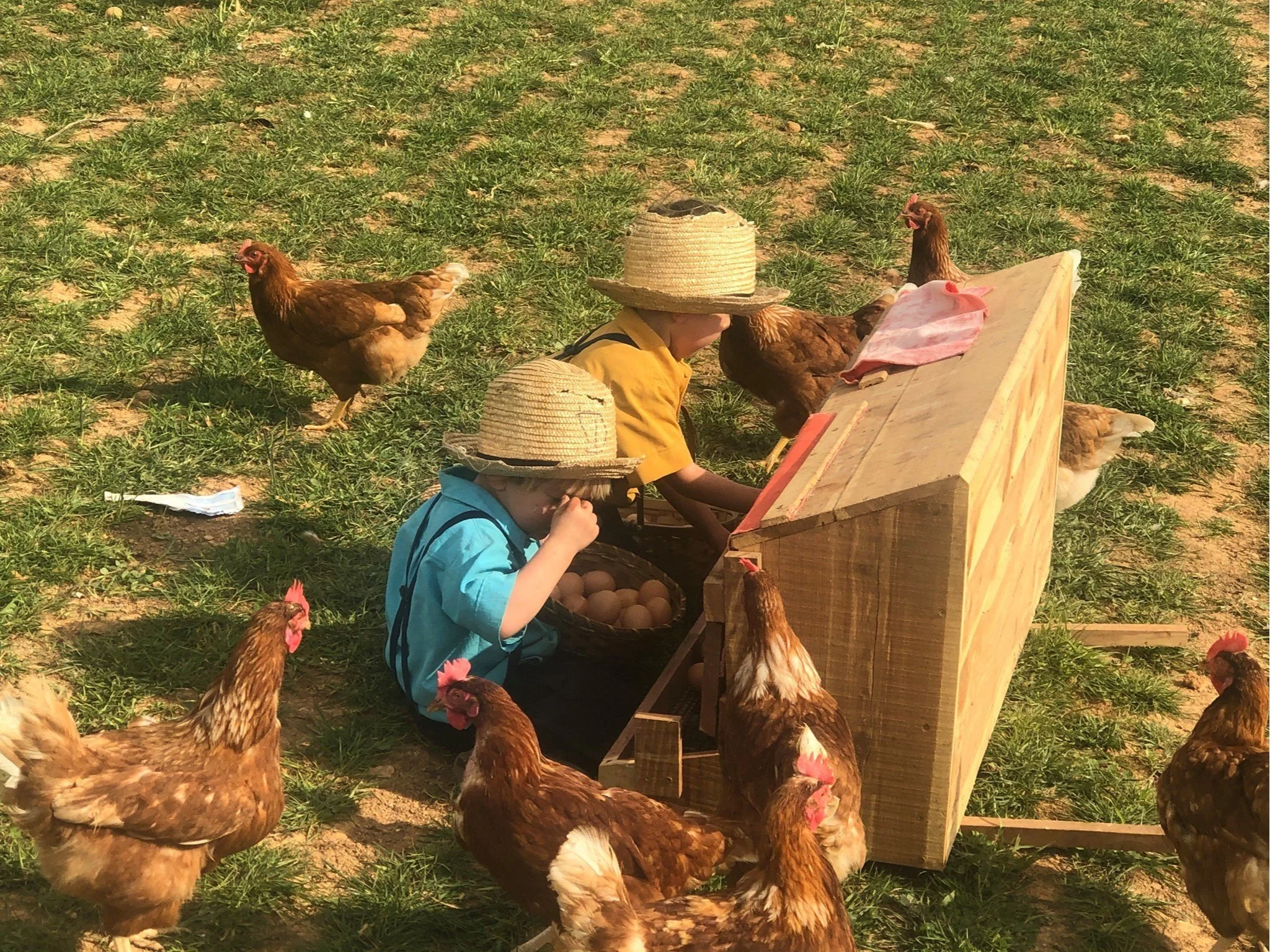 Golden Valley Farms | 100% Grassfed Raw Milk | Pasture Raised Meat ...