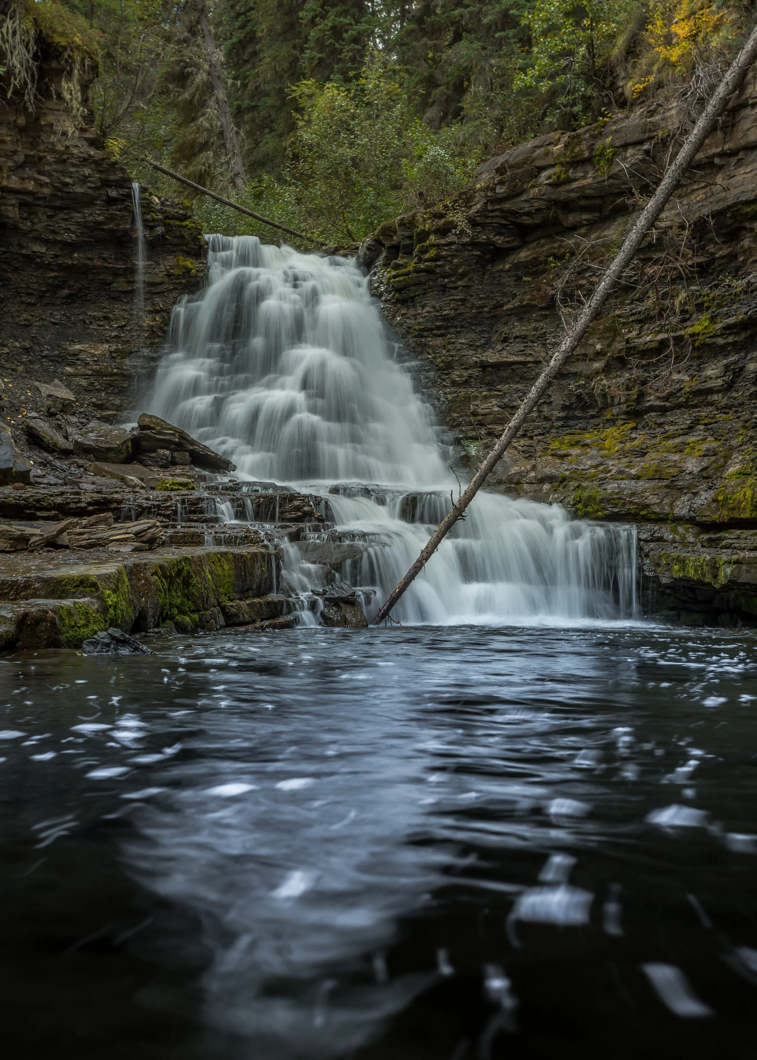 Quality Falls & Quality Canyon — Visit Tumbler Ridge
