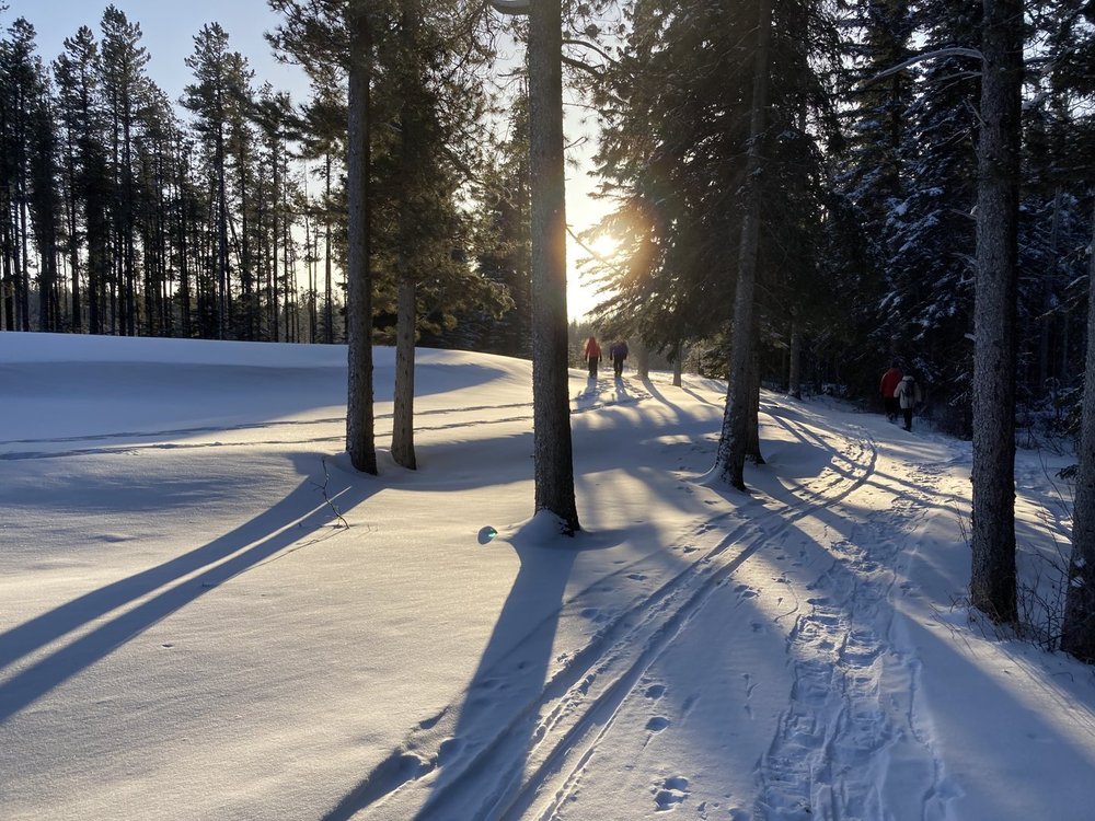 Wolverine Trails and the Lost Haven Cabin — Visit Tumbler Ridge