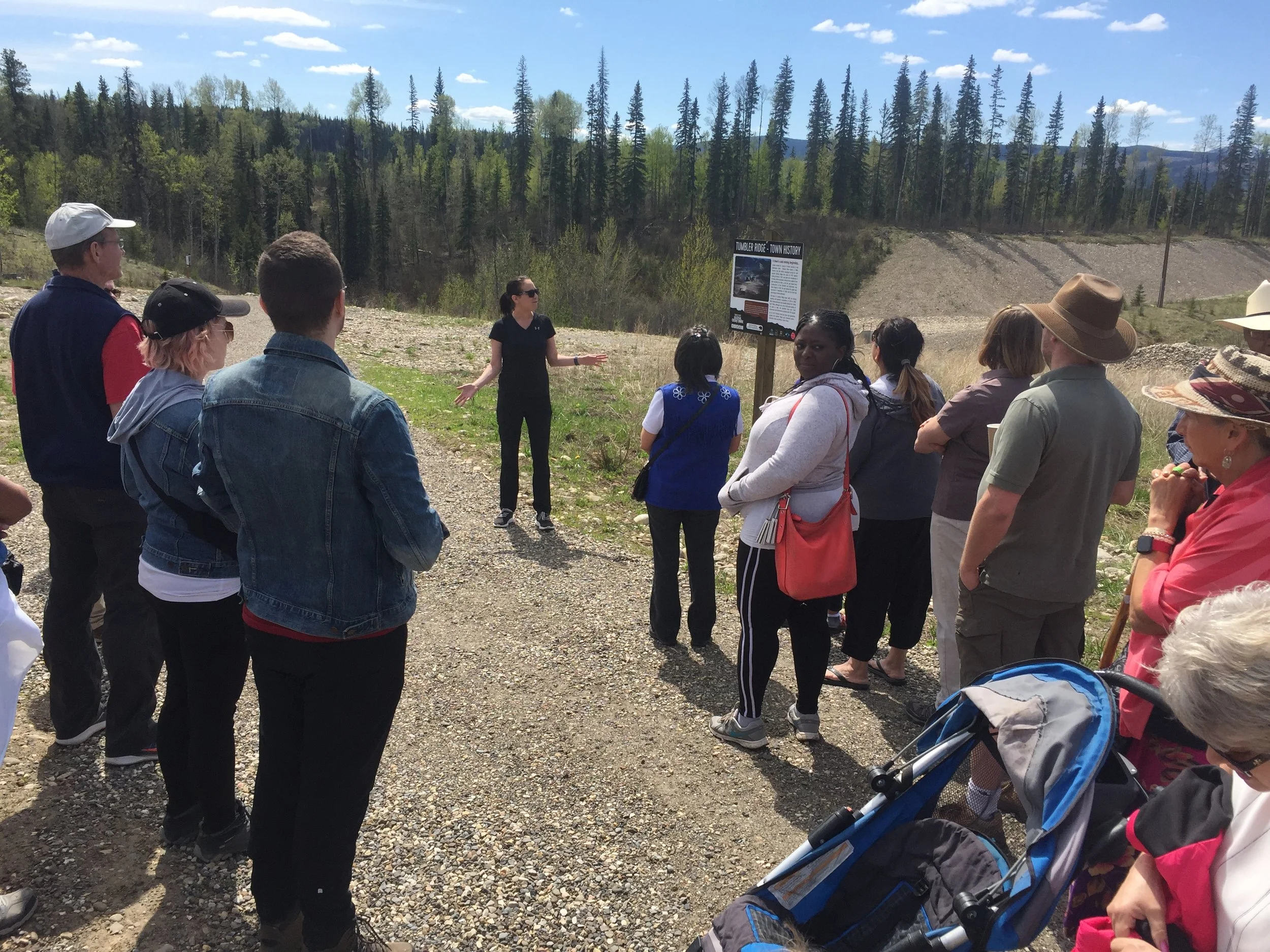 Community Forest Interpretive Trail — Visit Tumbler Ridge