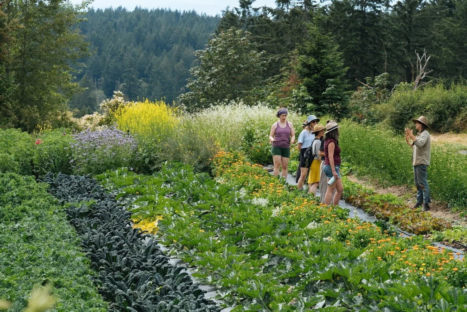 Stowel Lake Farm
