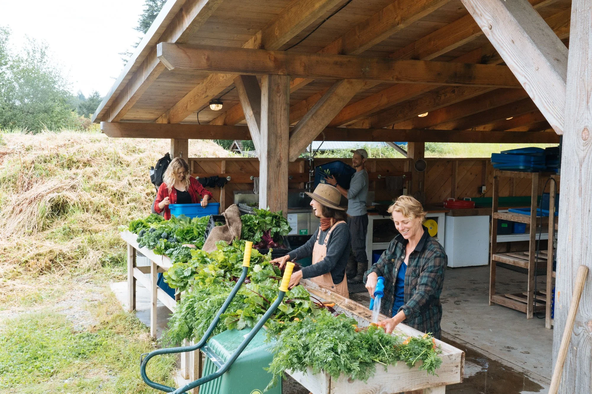 General 1 — Stowel Lake Farm