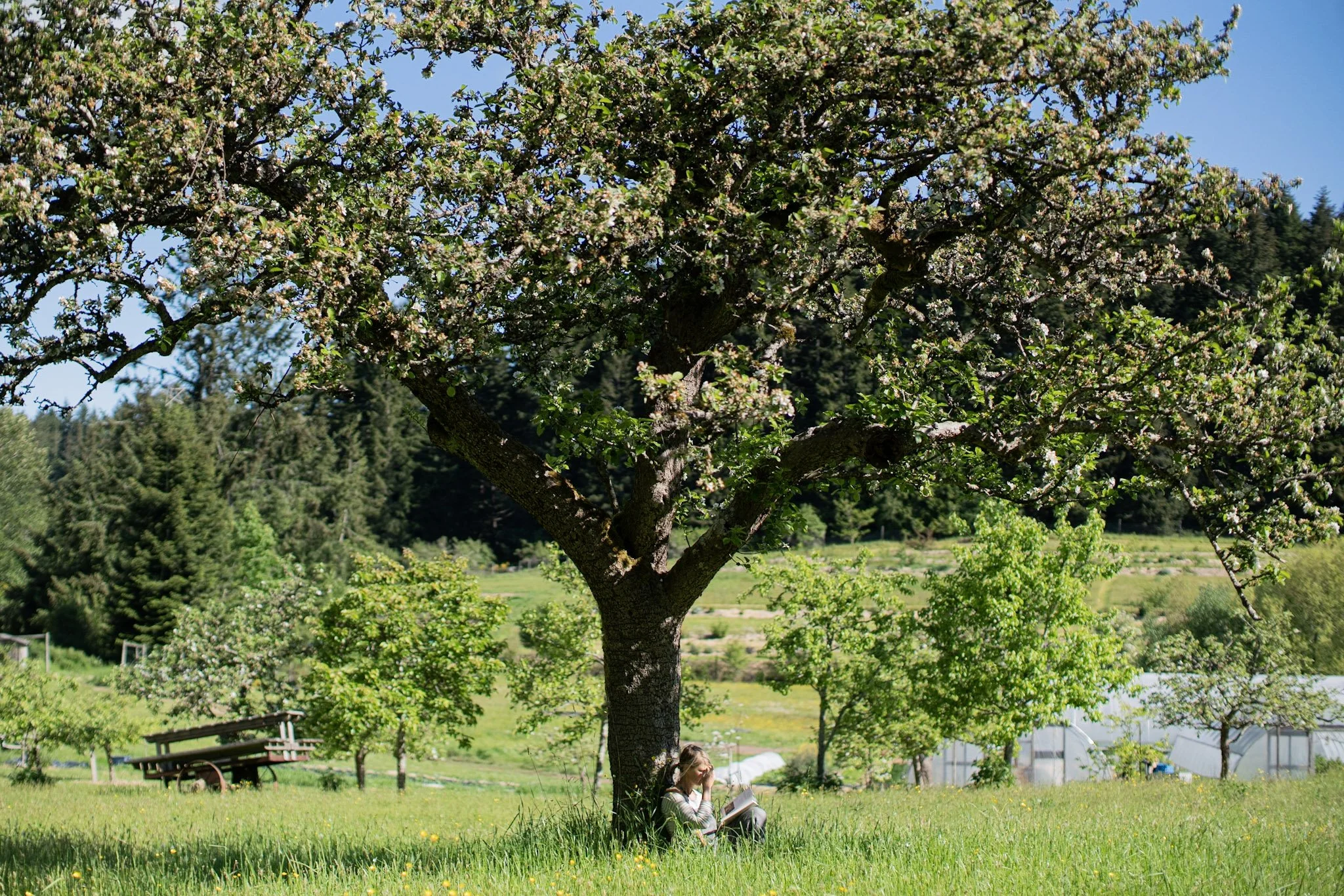 General 1 — Stowel Lake Farm