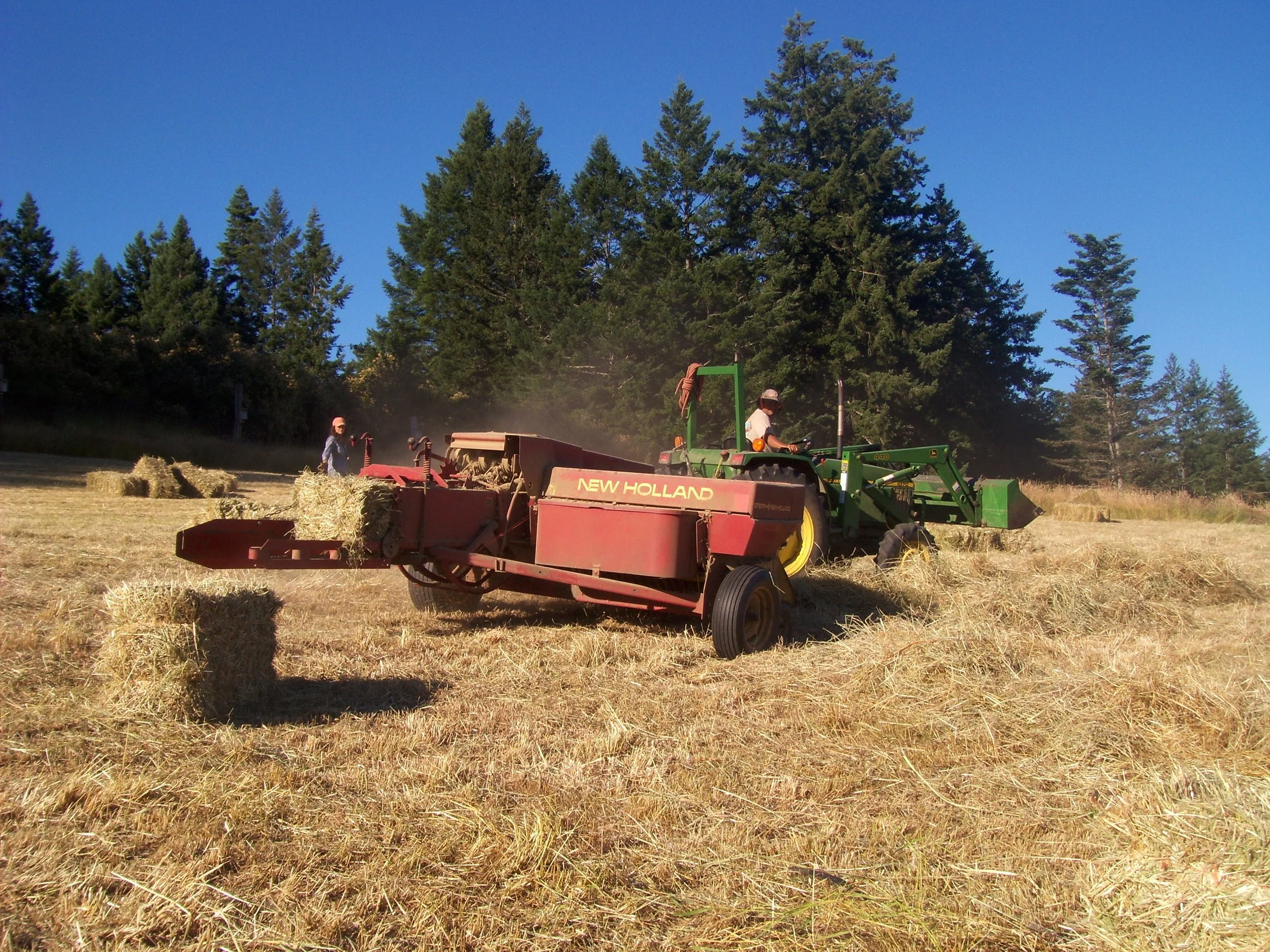 Our History — Stowel Lake Farm