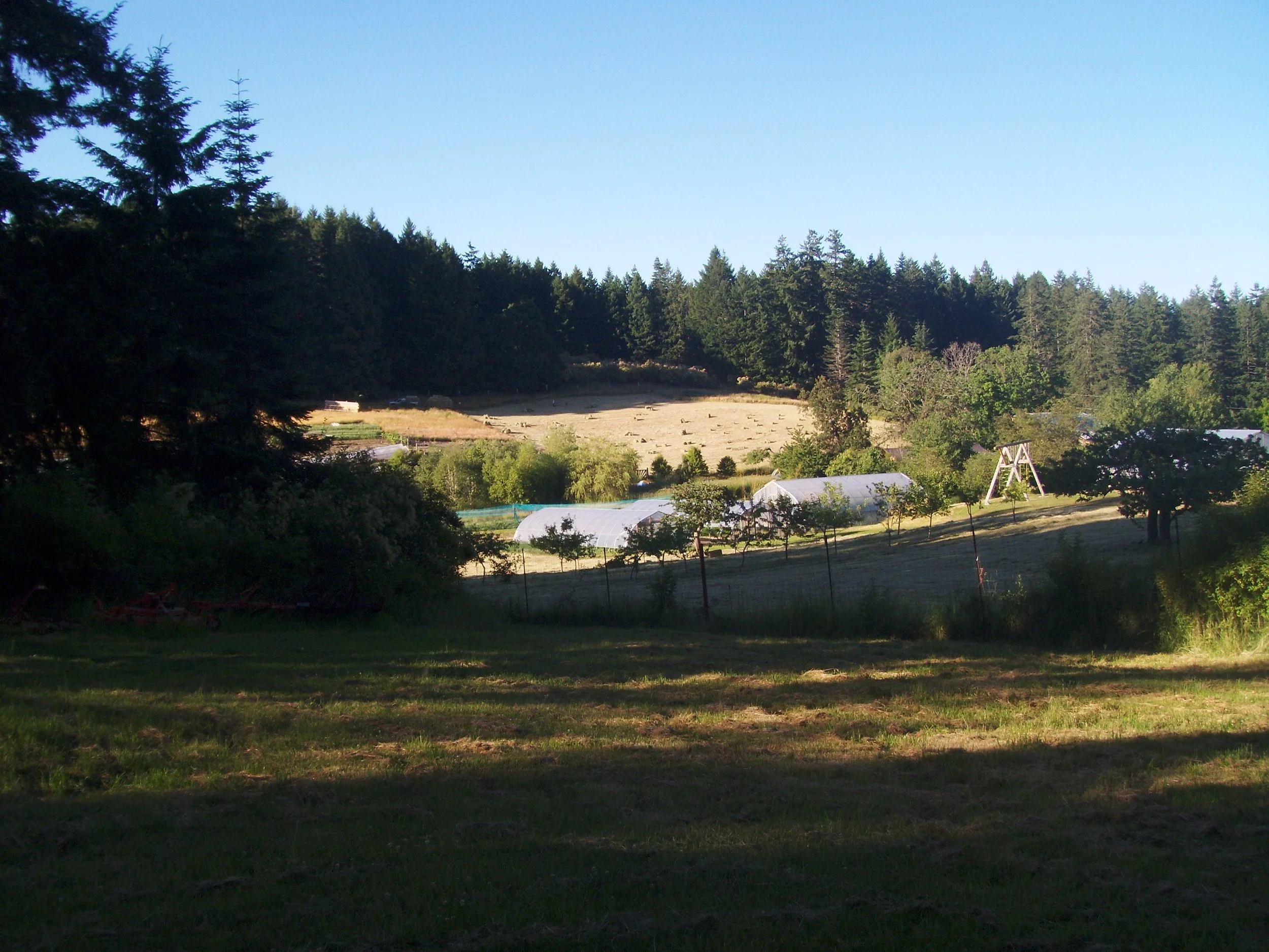 Our History — Stowel Lake Farm
