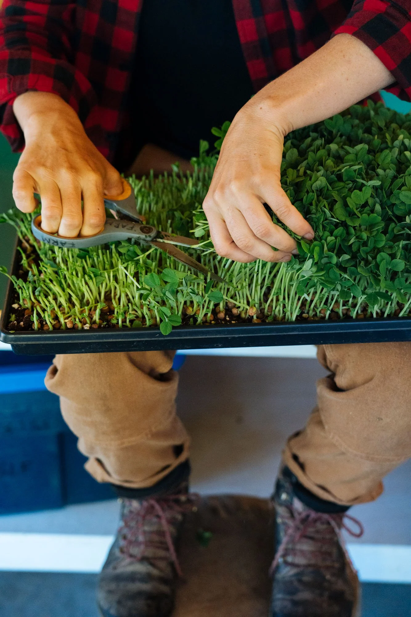 General 1 — Stowel Lake Farm