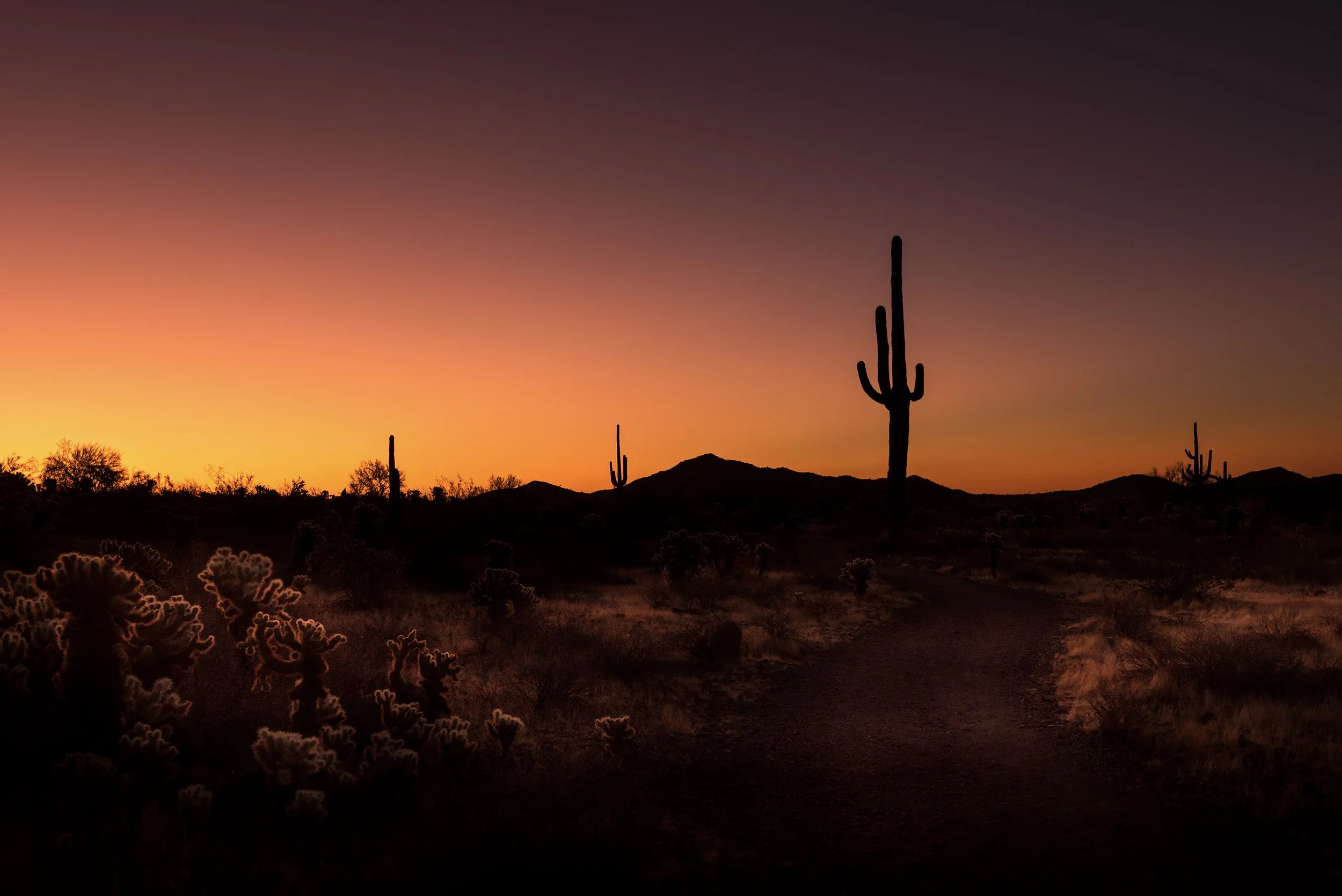 Blog — Michael Garth