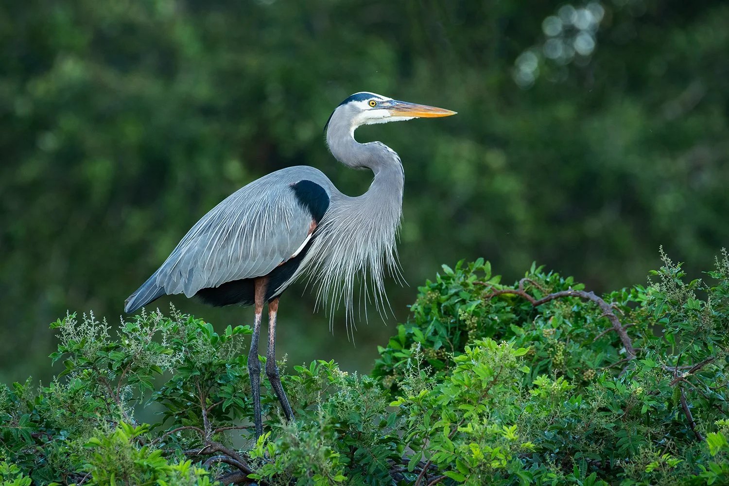 Blog — Michael Garth