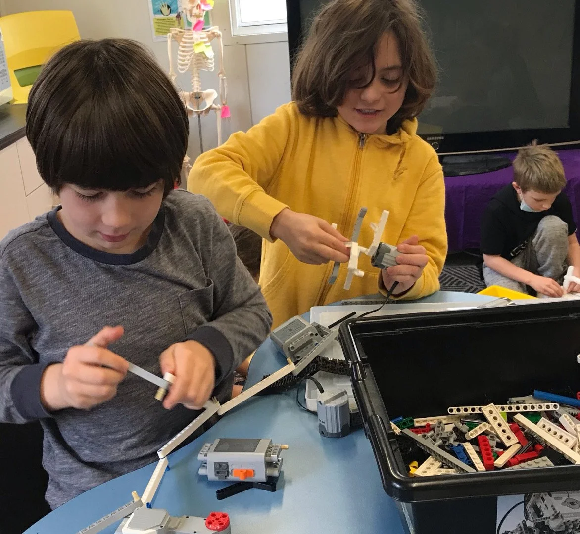 Science Curriculum & STEAM/STEM Education