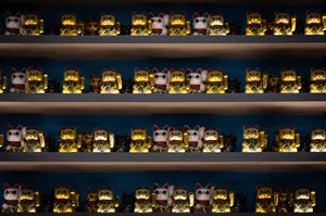 Our Story — Shark Fin Group