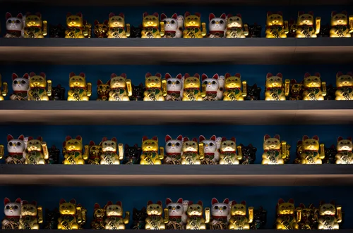 Our Story — Shark Fin Group