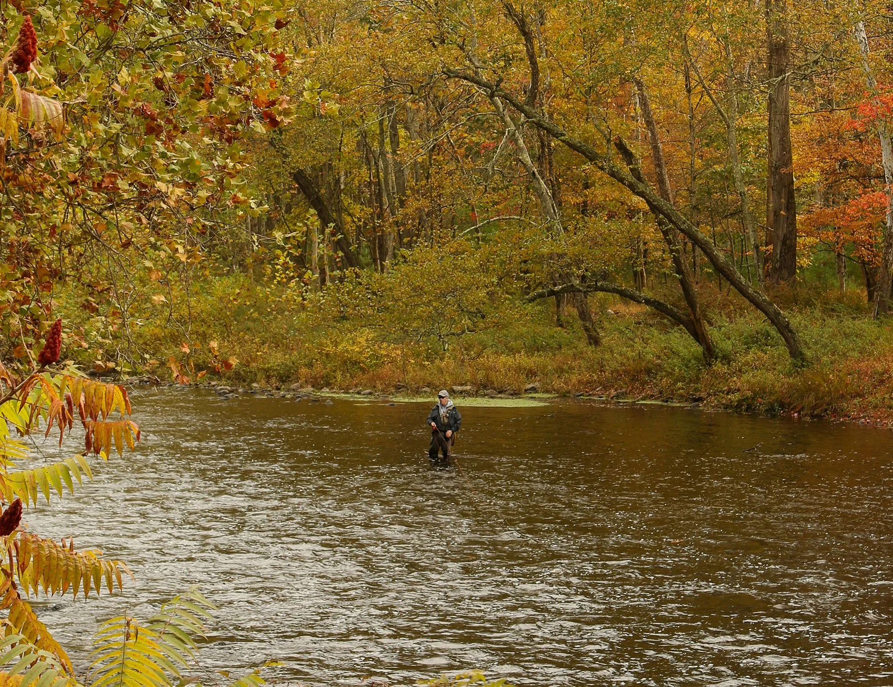 Neversink River Resort | Scenic Camping & Cabins Near NYC
