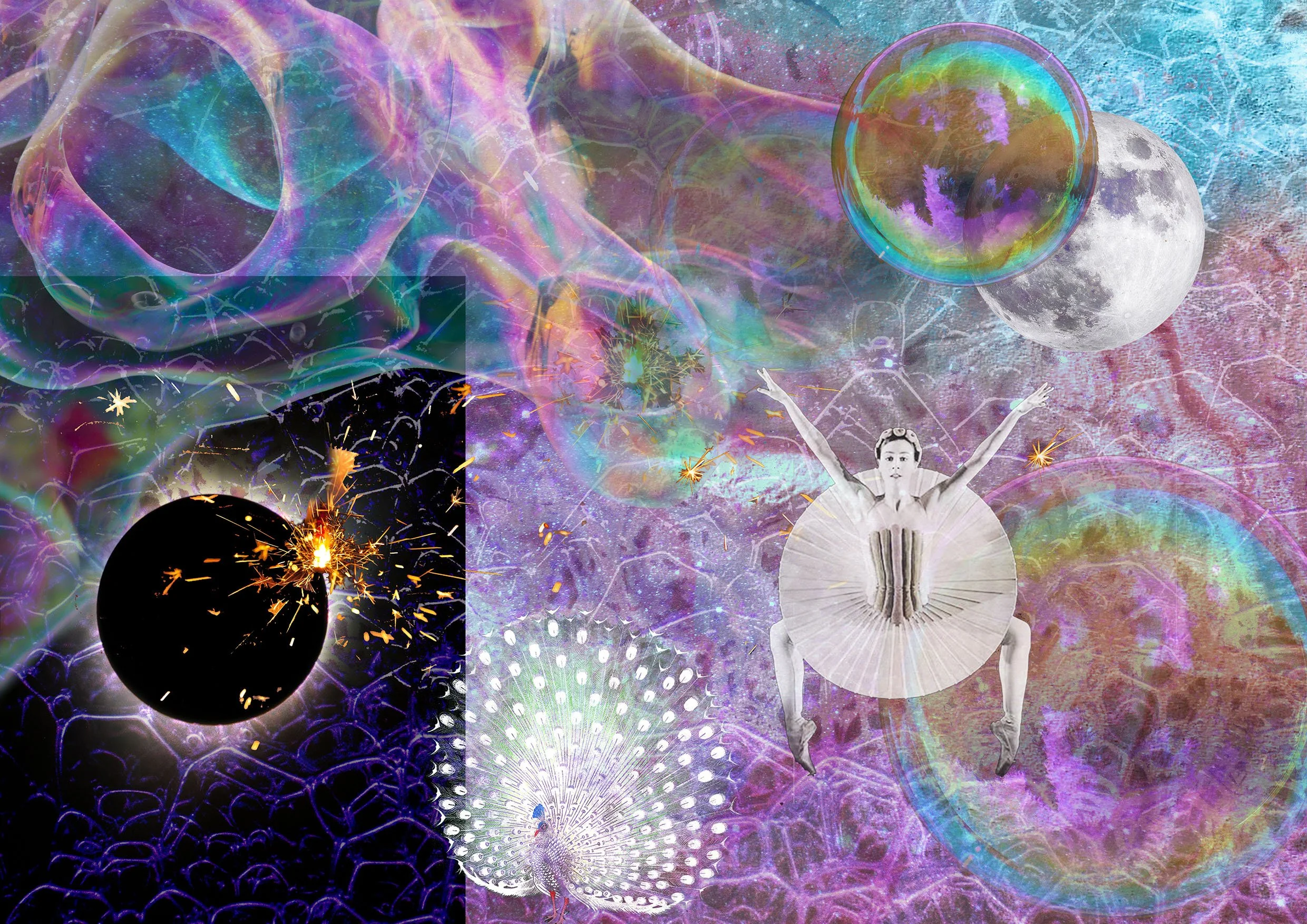 House of Yves - Powder Puffs of Cosmic Dust Garden. Horticultural ...