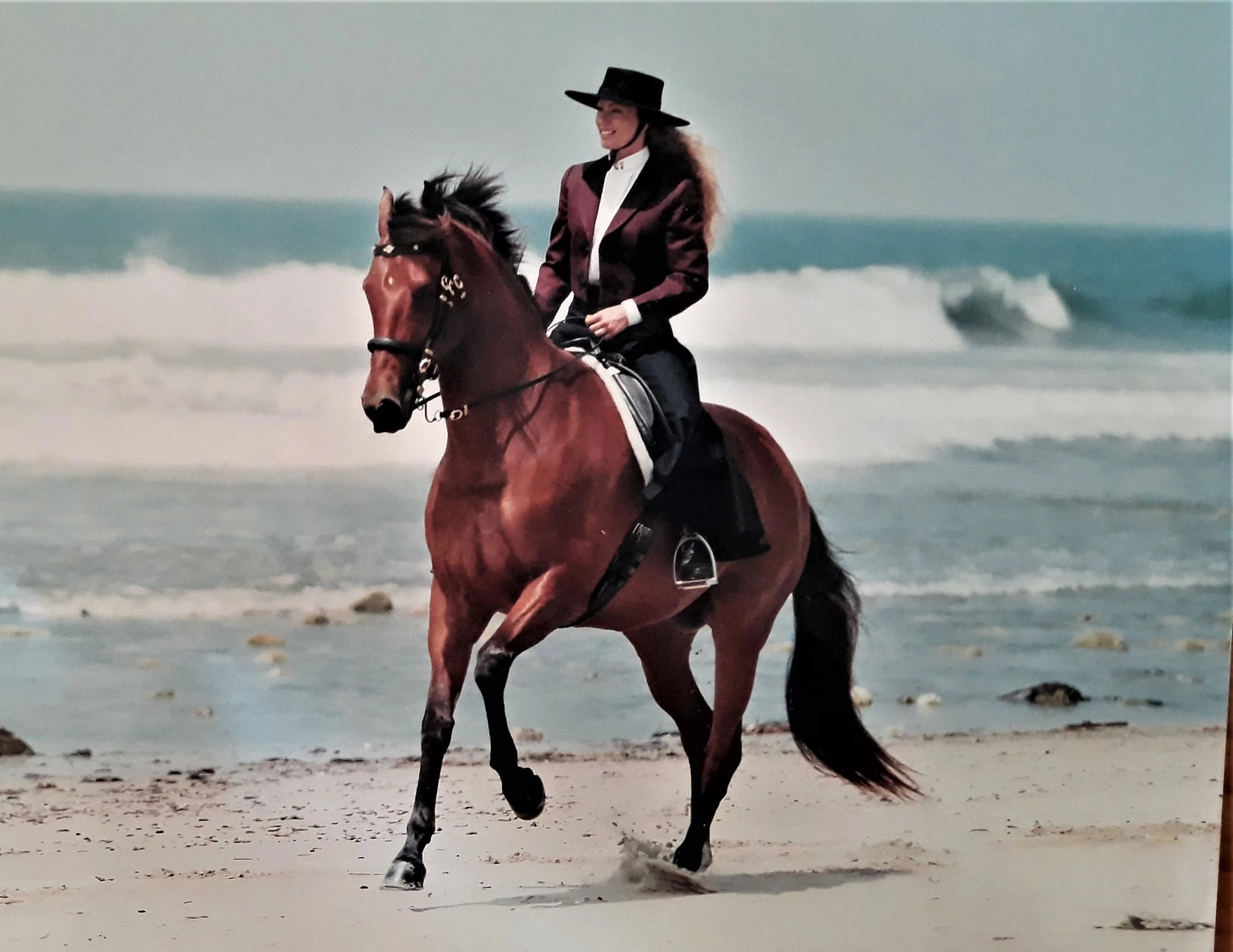 Photos — Sun Hill Training