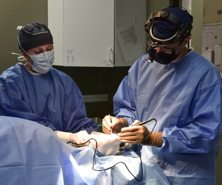 HIGHLINE Veterinary Orthopedics: Mobile Veterinary Surgery in Minnesota