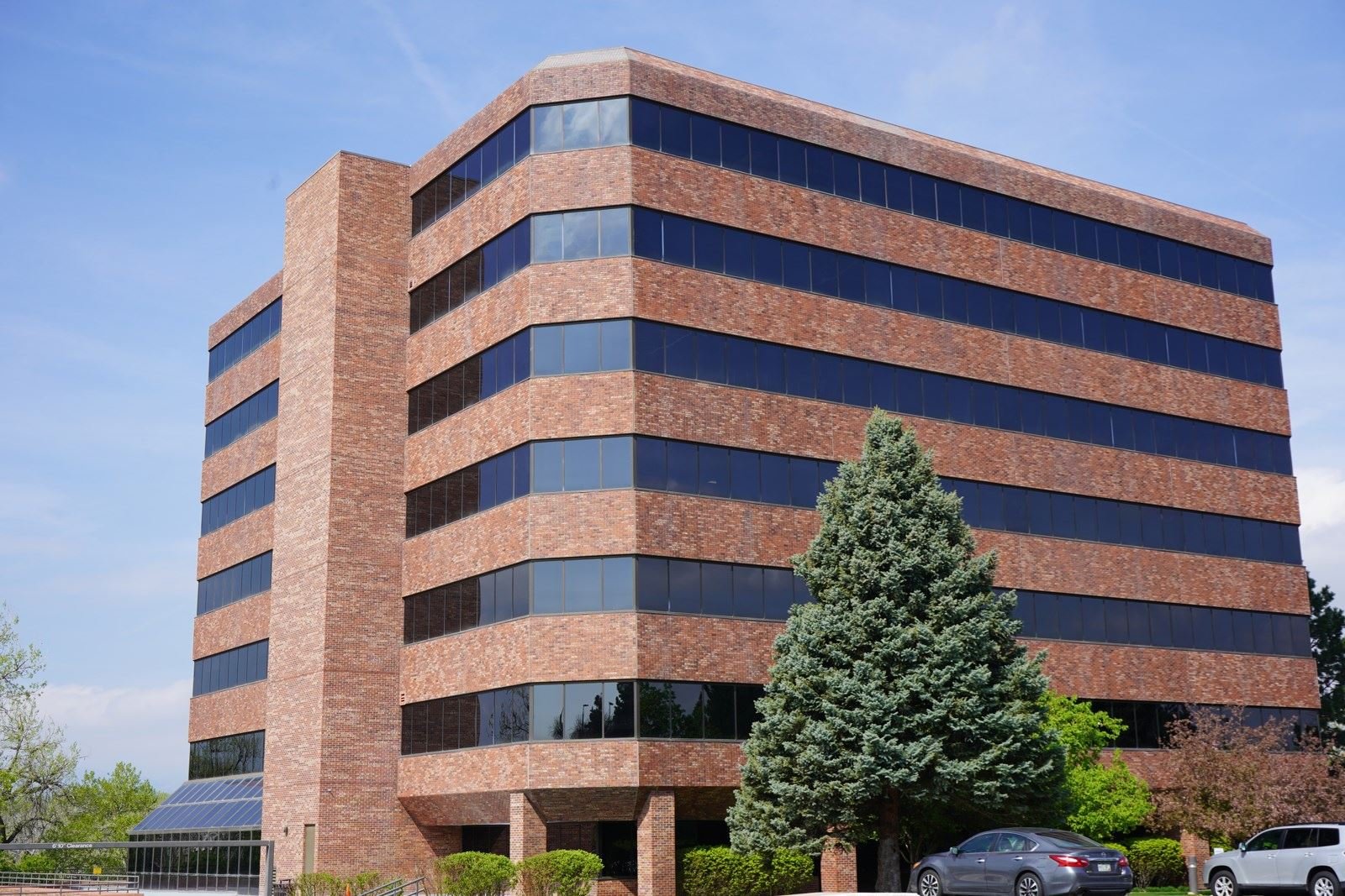 Meet Renee, Your Expert Personal Color Analyst in Denver