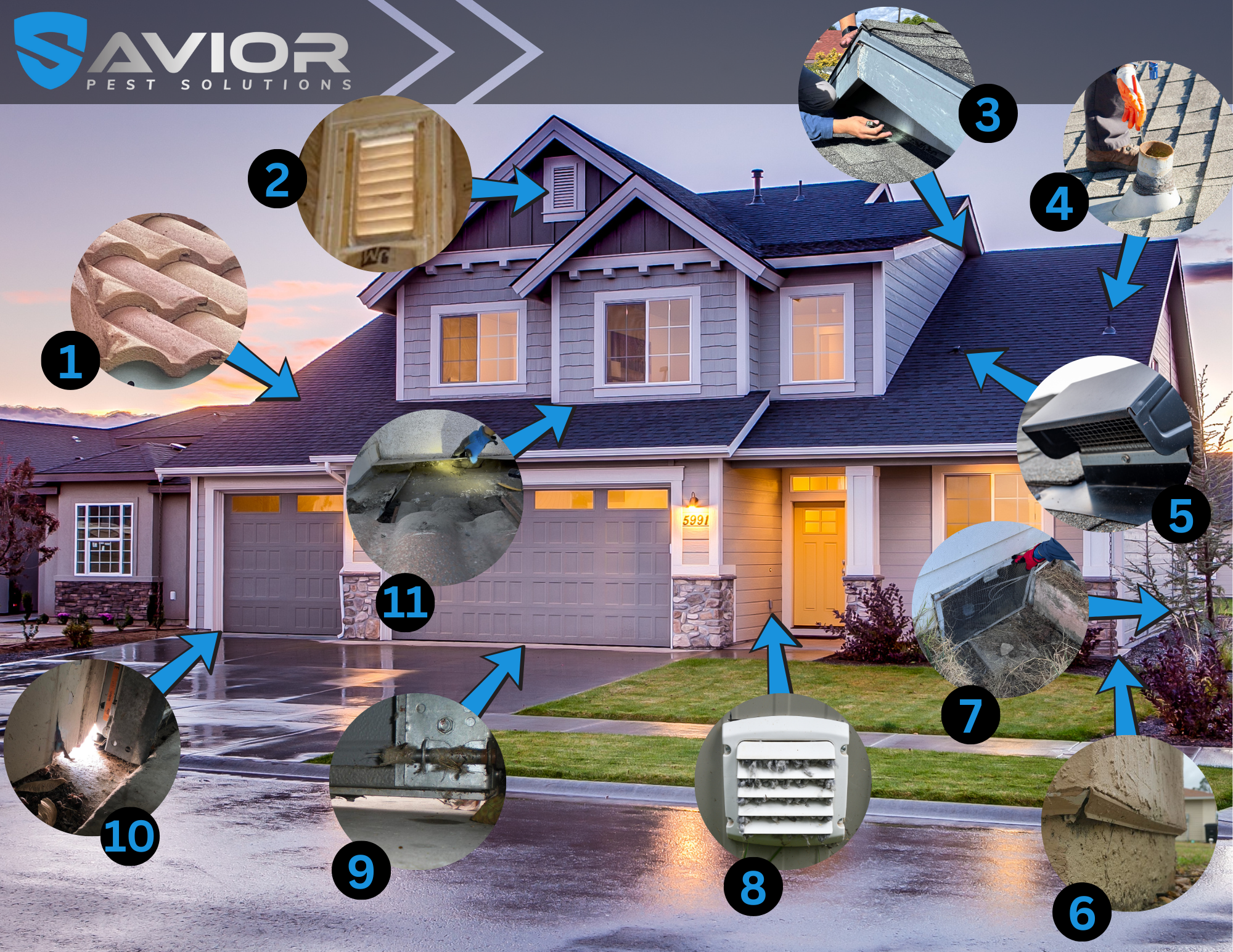 Rodent Removal and House Proofing Services. Effective Rodent Control ...