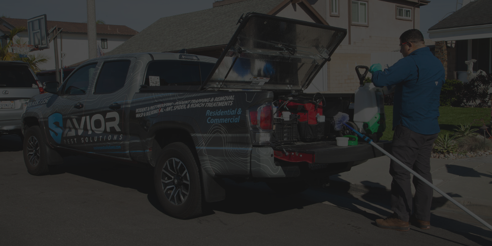 Savior Pest Solutions