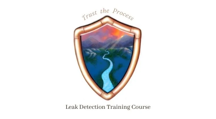 Course — Leak Detection Training Institute