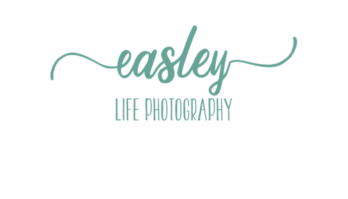 Professional Branding and Newborn Photographer - Central Arkansas