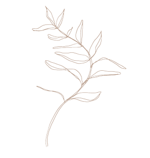 ninety-two design co.