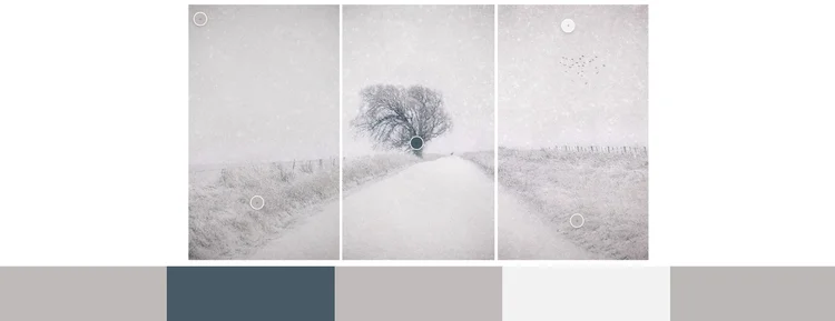 Understanding Colour Theory for Photographers-Digital Educator and Creative