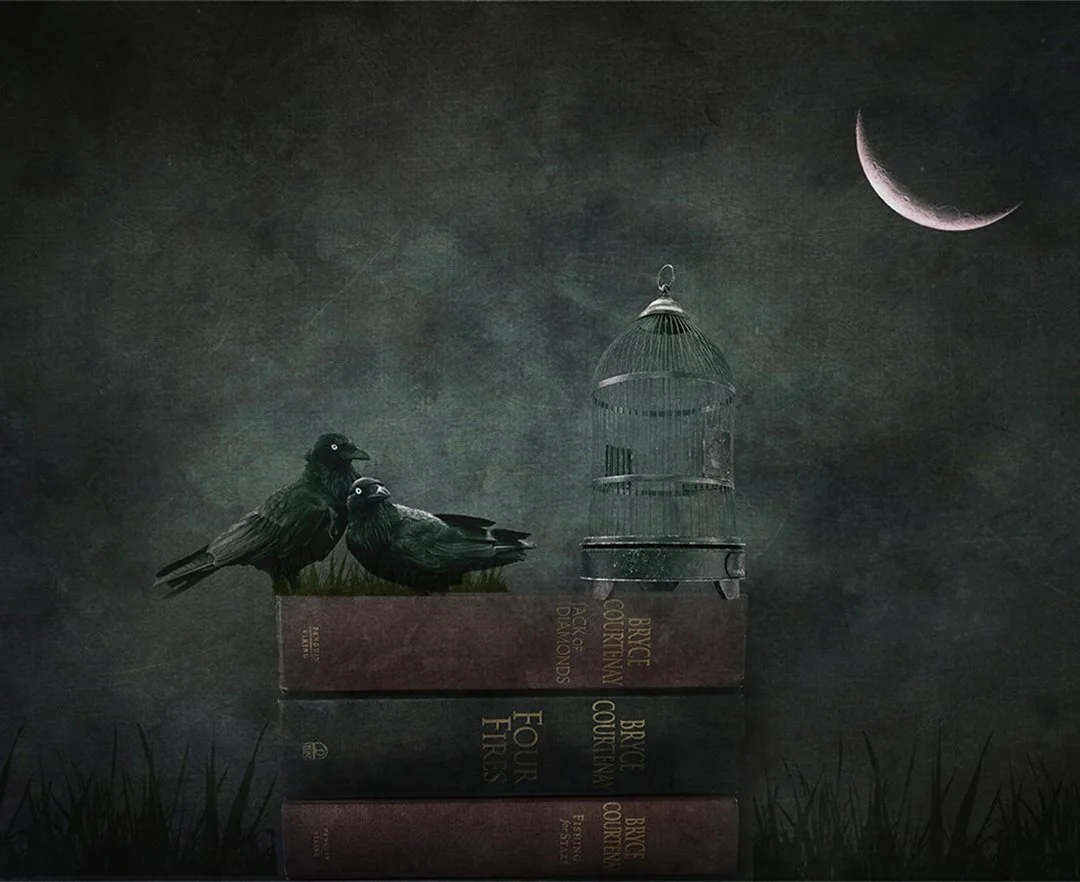 Tips for Creating Composite Images-Digital Educator and Creative