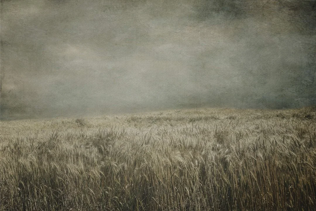 Landscape Texture Backgrounds-Photoshop Teacher