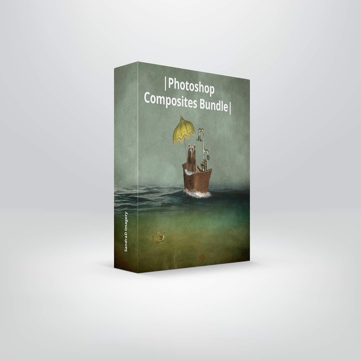 Skills for Creating Composite Images in Photoshop-Digital Educator and ...